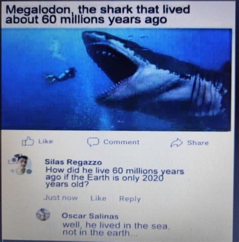 Mensen Met Het Denkvermogen Van Een Bal Gehakt Kakhiel