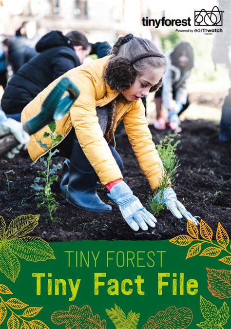 Tiny Forest Super Tiny Super Powerful