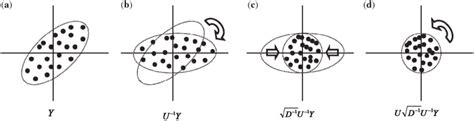 De Correlation Process For Gene Set Expression Data Y And Covariance