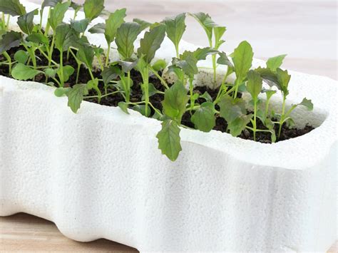 Expanded Polystyrene Eps A Comprehensive Overview