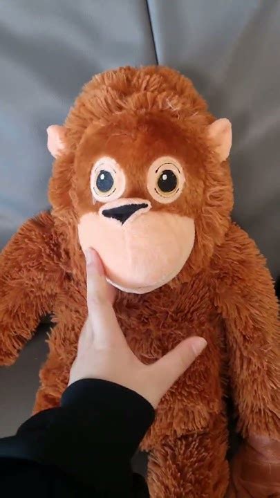 우리집에 새로운 식구를 소개합니다 🐵🐵 Youtube