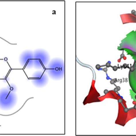 Two Dimensional A And Three Dimensional 3d B Binding Site
