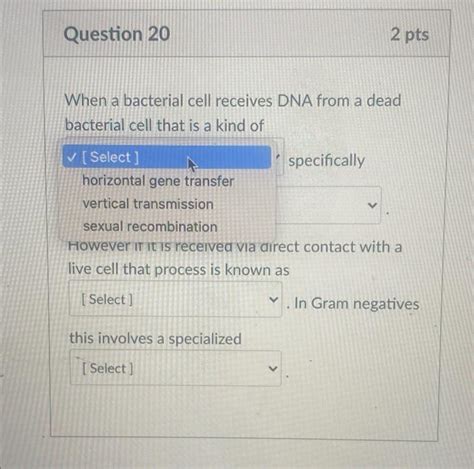 Solved Question 20 2 Pts When A Bacterial Cell Receives Dna
