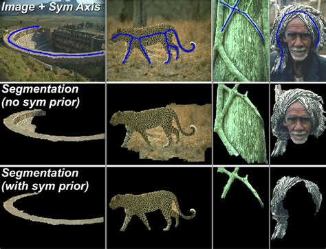 Example Symmetry Constrained Segmentations Notice That We Are Able