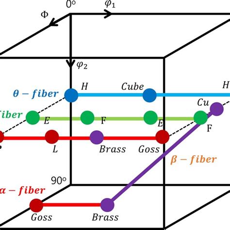 Ideal Texture Components Of FCC Metals In Euler Space Download Scientific Diagram