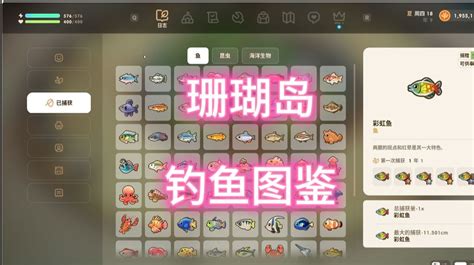 珊瑚岛钓鱼图鉴全收集图版 哔哩哔哩
