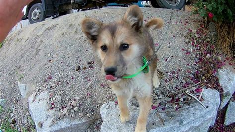 조깅중 사고쳤다네 공공시설 파손 Youtube