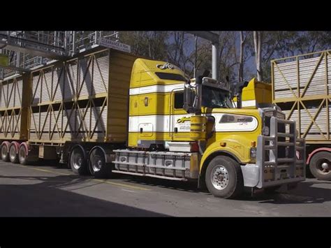 Using Data To Optimise The Australian Country Choice Supply Chain