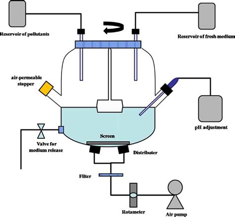 The Schematic Diagram Of The Bioreactor Setup Download Scientific Diagram
