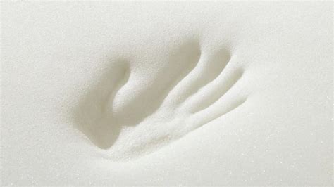 Control Of Slow Rebound Sponge Foaming Process