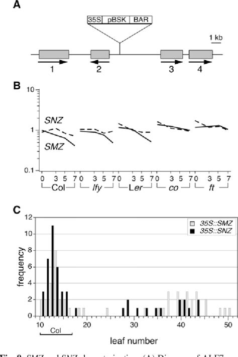 Figure 9 From Dissection Of Floral Induction Pathways Using Global Expression Analysis