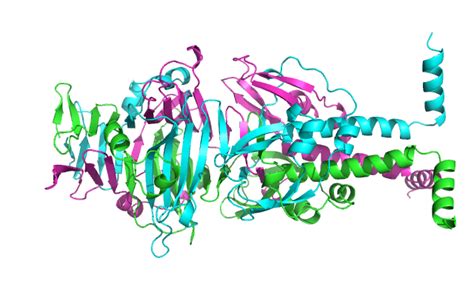 Proteins Analysis — Python 1010 Documentation
