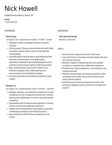 Implementation Leader Resume Samples Velvet Jobs
