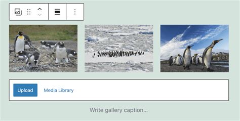 How To Add A Lightbox To The Gutenberg Gallery Block Advanced Gutenberg