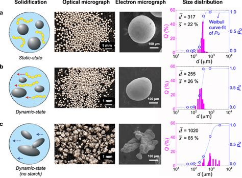 Fields Metal Particles Fabricated Under Different Conditions A