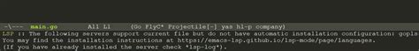 Win10 Lspgopls Emacs General Emacs China