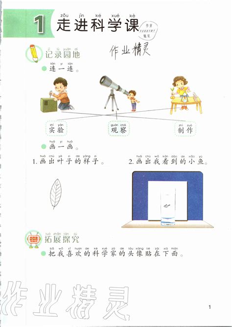 2020年科学学生活动手册一年级上册青岛版答案青夏教育精英家教网