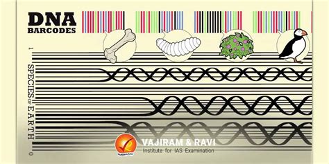DNA Barcoding Definition Applications Limitations