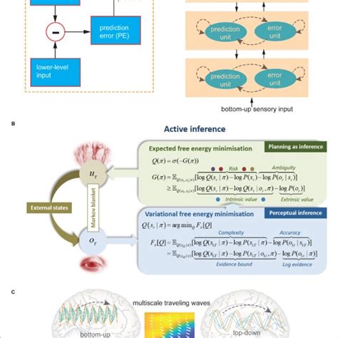 A A Schematic Illustration Of Hierarchical Predictive Coding B Download Scientific Diagram