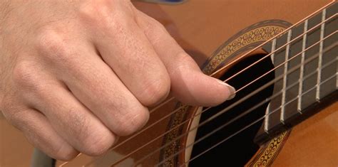 Four Principles Of Efficient Muscle Function