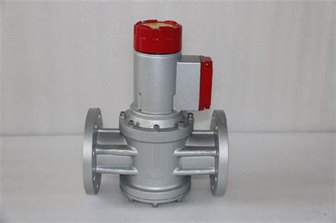 电磁式燃气紧急切断阀 Drqf 150 0 005 Btl图片 高清图 细节图 北京海富达科技有限公司 维库仪器仪表网