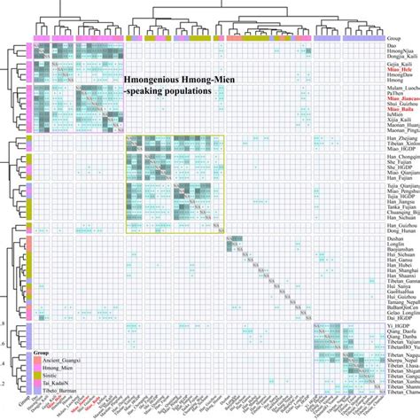 Fine Scale Population Genetic Structure Based On The Shared Haplotype