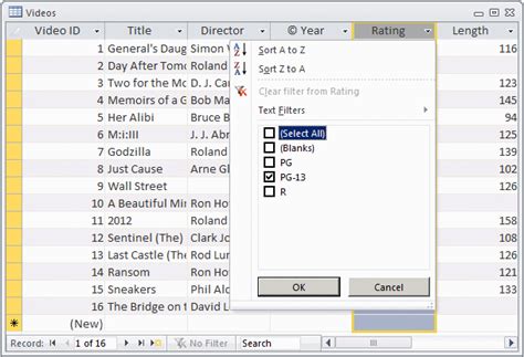 Microsoft Access Lesson Conjunction And Disjunction In Data Analysis