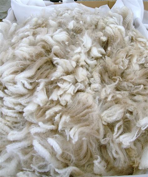 Alpaca Wool Clothing