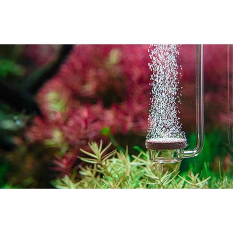 Neo Diffuser Normal Original M Indie Aqua