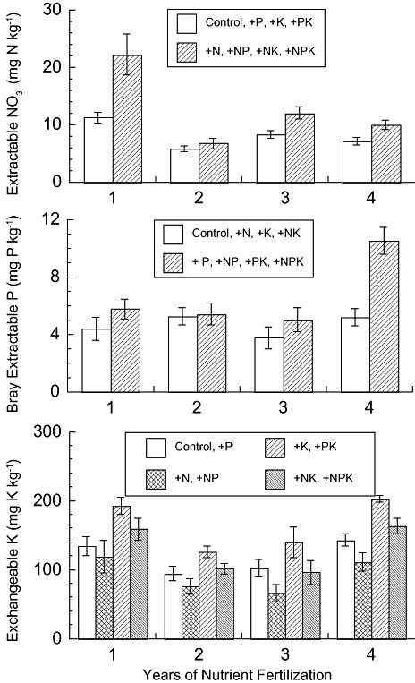 Concentrations Of Kcl Extractable No3 Bray Extractable Po4 And