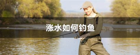 涨水如何钓鱼 鱼百科