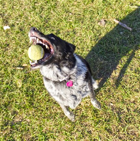 Easy Breezy Beautiful Django Unit Tests By Colleen Dunlap Medium