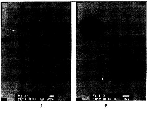 Preparation Method For Monodisperse Cationic Nanospheres With Controllable Particle Diameter