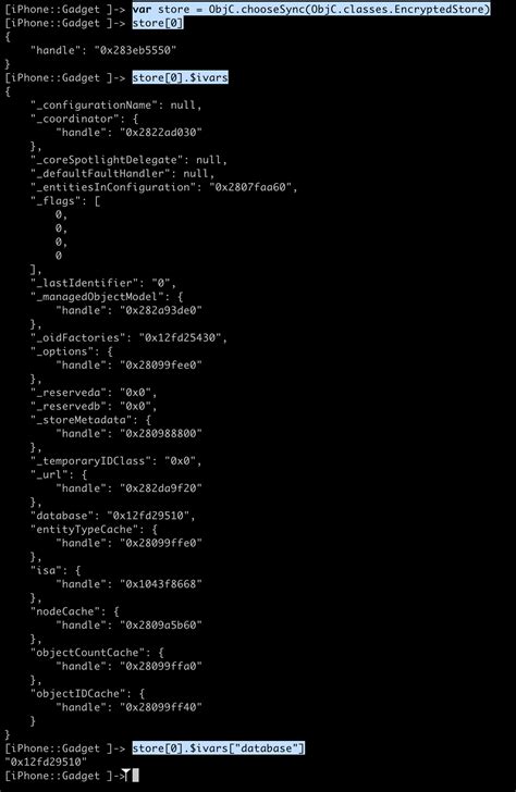 Advanced Frida Usage Part 1 Ios Encryption Libraries 8ksec Blogs