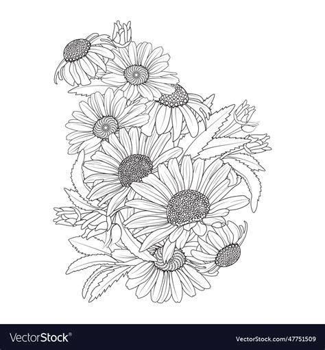 Daisies Drawing Tattoo