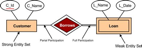 Entity In ER Model CS Taleem