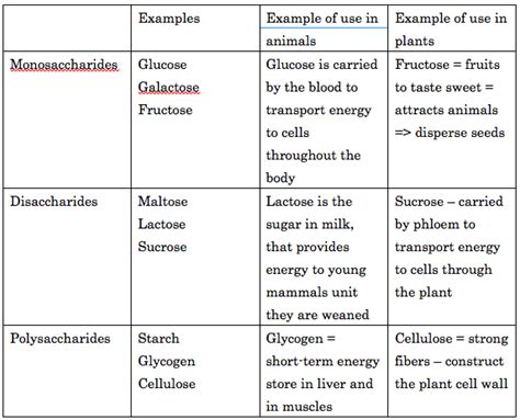 Structure And Function Of Carbohydrates Lipids Proteins Makeupview Co