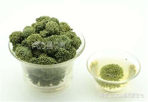 三七花选新花好还是旧花好 知乎