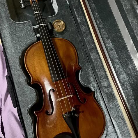 String Instruments 바이올린악기바이올린활바이올린케이스바이올린교본 On Bunjang Global Site