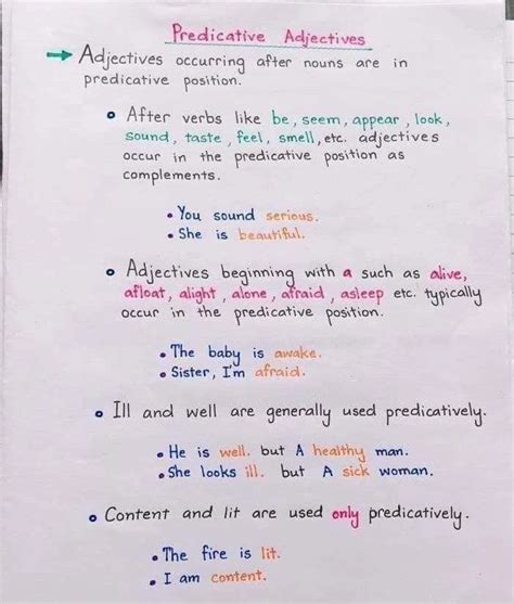 Predicative Adjectives Rules Examples And Common Mistakes