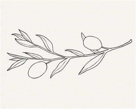 Olive Svg For Commercial Use Hand Drawn Olive Branch Vector Olive