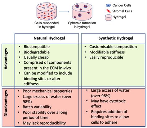 Advantages And Disadvantages Of Natural And Synthetic Hydrogels This Download Scientific
