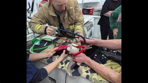 Watch Firefighters Rescue Cat From Uk Drainpipe