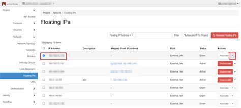 How To Release Floating Ip Real Time Cloud Services Llc