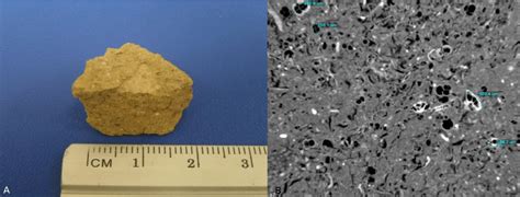 Analyzed Rock Sample A And One Of Its Microtomography 2d Sections