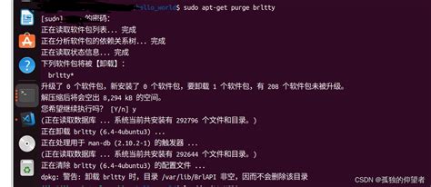 ubuntu不识别 dev ttyusb0 ubuntu抓不到usb设备 csdn博客