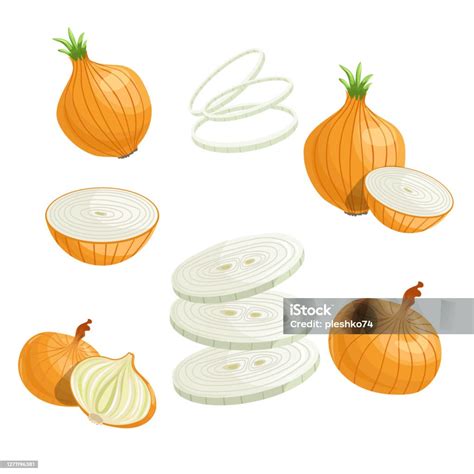 만화 양파 세트 양파 잘라 양파 반지 플랫 심플한 디자인 유기농 농장 신선한 야채의 벡터 그림 흰색 배경에 격리 양파에 대한