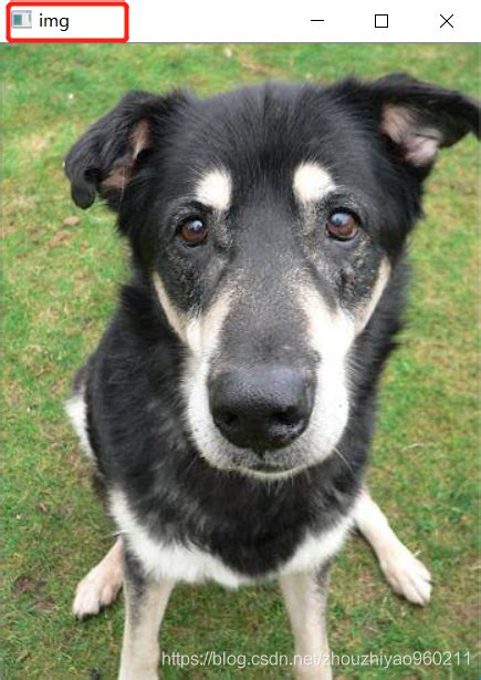 Cv2imshow无法显示图像cv2imshow不显示图片 Csdn博客