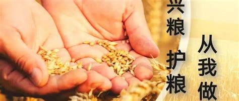 全县广大妇女姐妹这份巾帼兴粮护粮倡议书请查收 家庭 国之 粮节