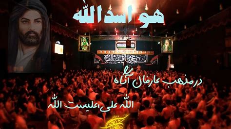 احسان لطفی شور،من غیر علی خدا نمیپندارم، شهادت حضرت زینب سلام الله